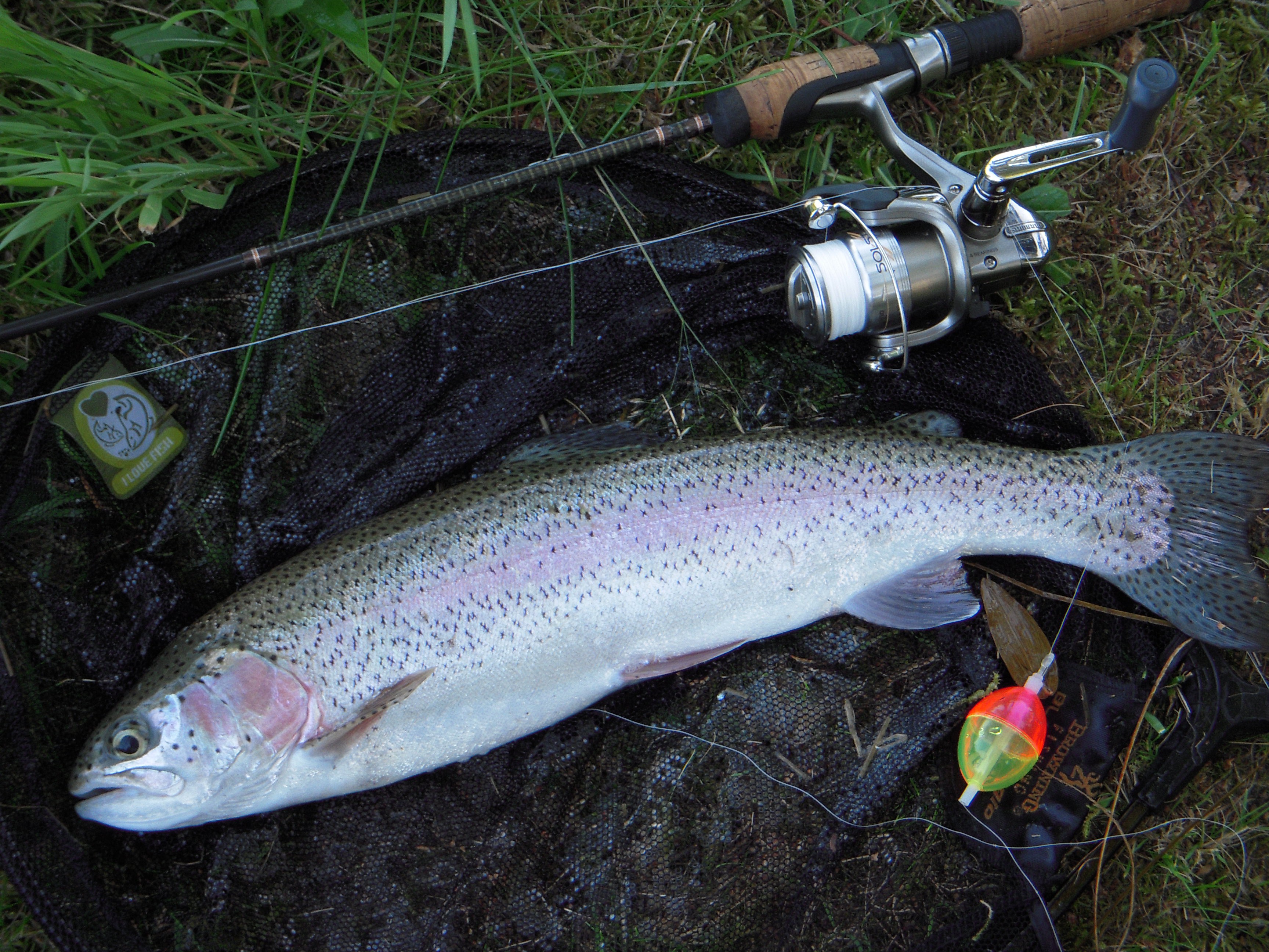 KARPE-LUSK | U. L. FISK